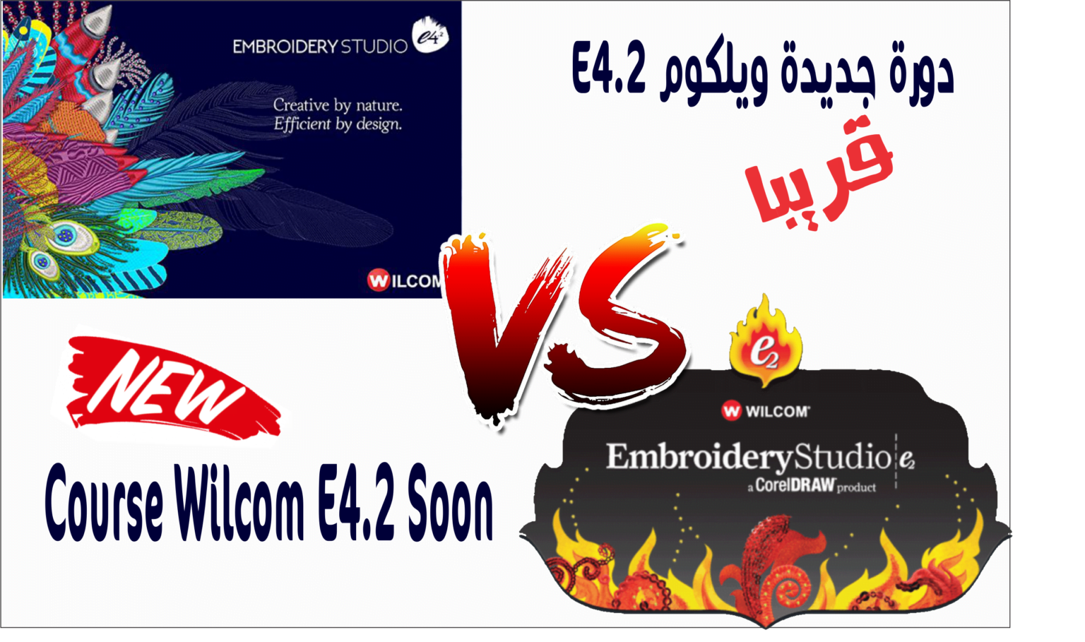 wilcom e4 vs wilcom e2 الفرق بين الاصدارين | Hayani Designs